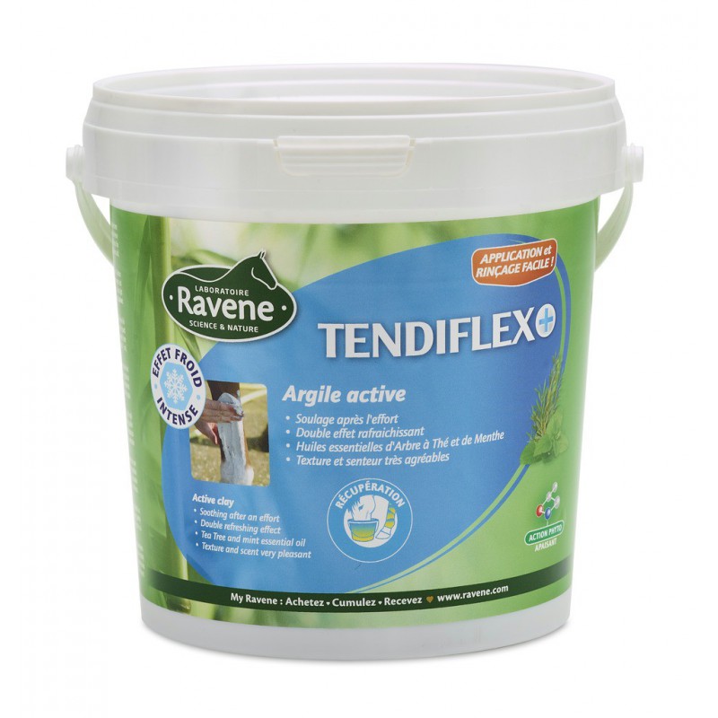 tendiflex-ravene-argile-active-1.5kg | Equinoxe Shop