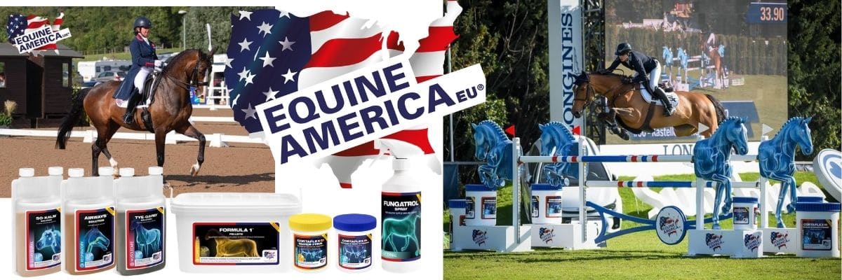 EQUINOXE SHOP La meilleure sélection d'articles de sellerie en ligne