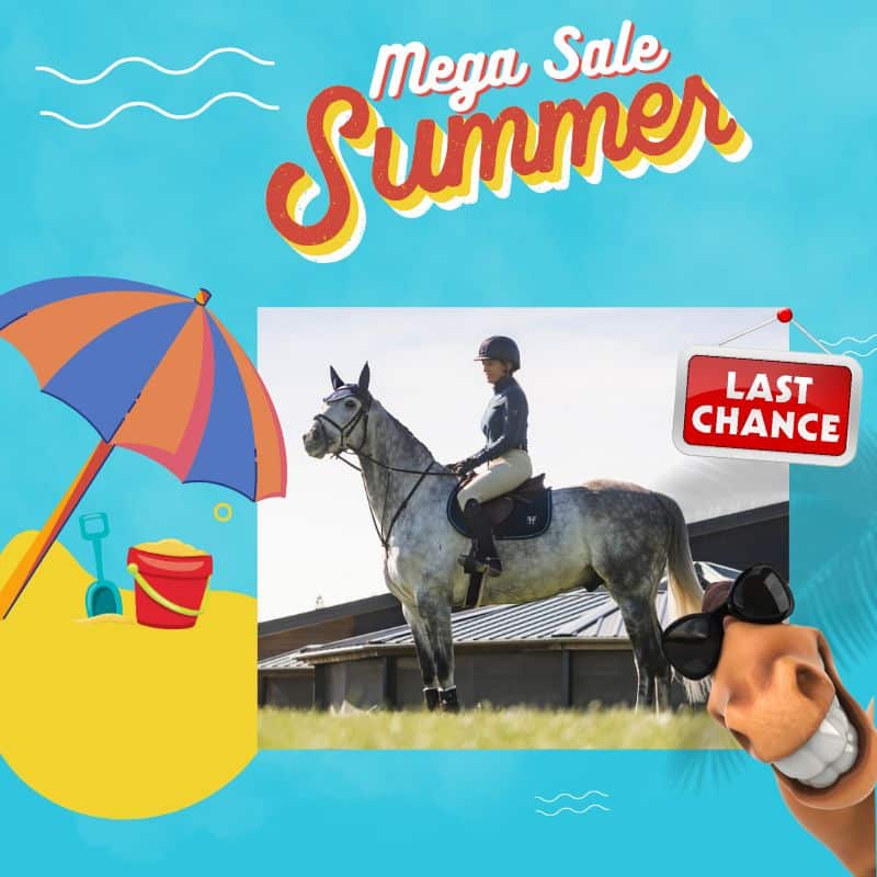 Sellerie et équipement d’équitation - EQUINOXE SHOP