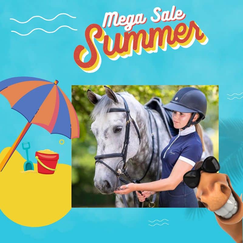 Sellerie et équipement d’équitation - EQUINOXE SHOP