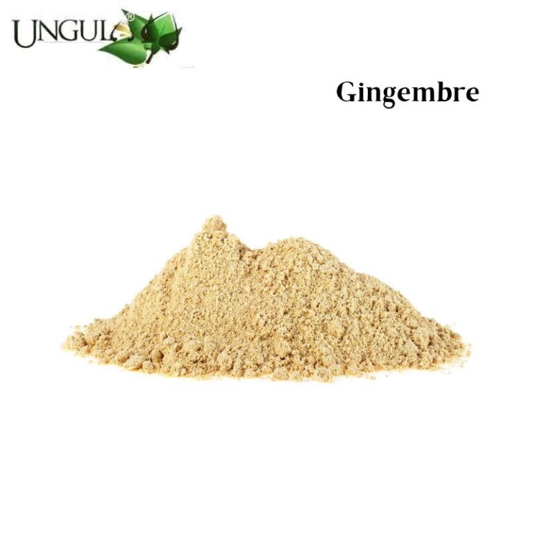 UNGULA NATURALIS – Gingembre en poudre 1,6 L | Equinoxe Shop