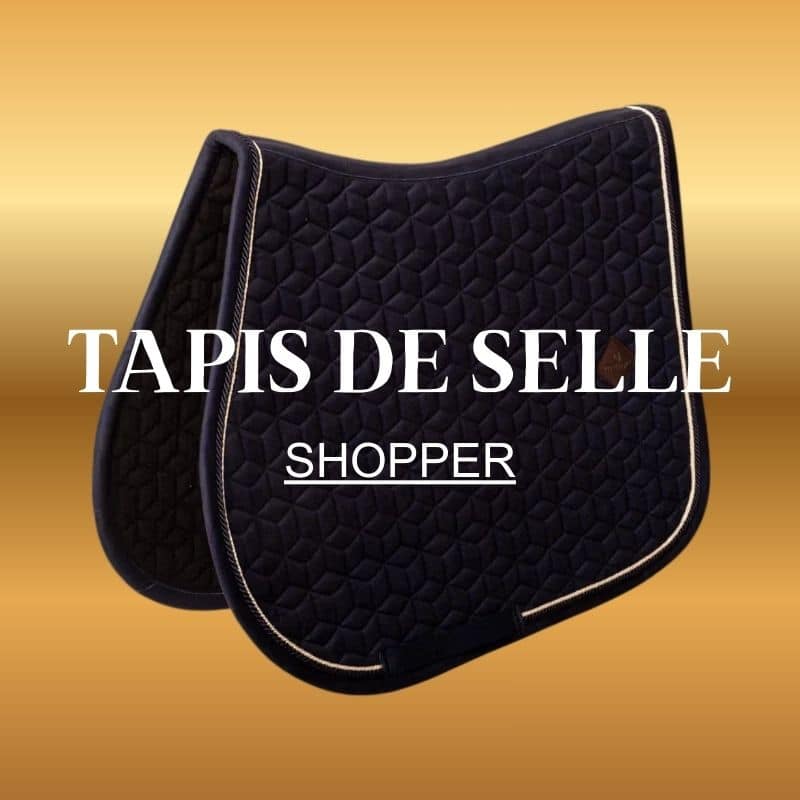 Sellerie Equinoxe-Shop.com/page d'accueil cheval & cavaliers